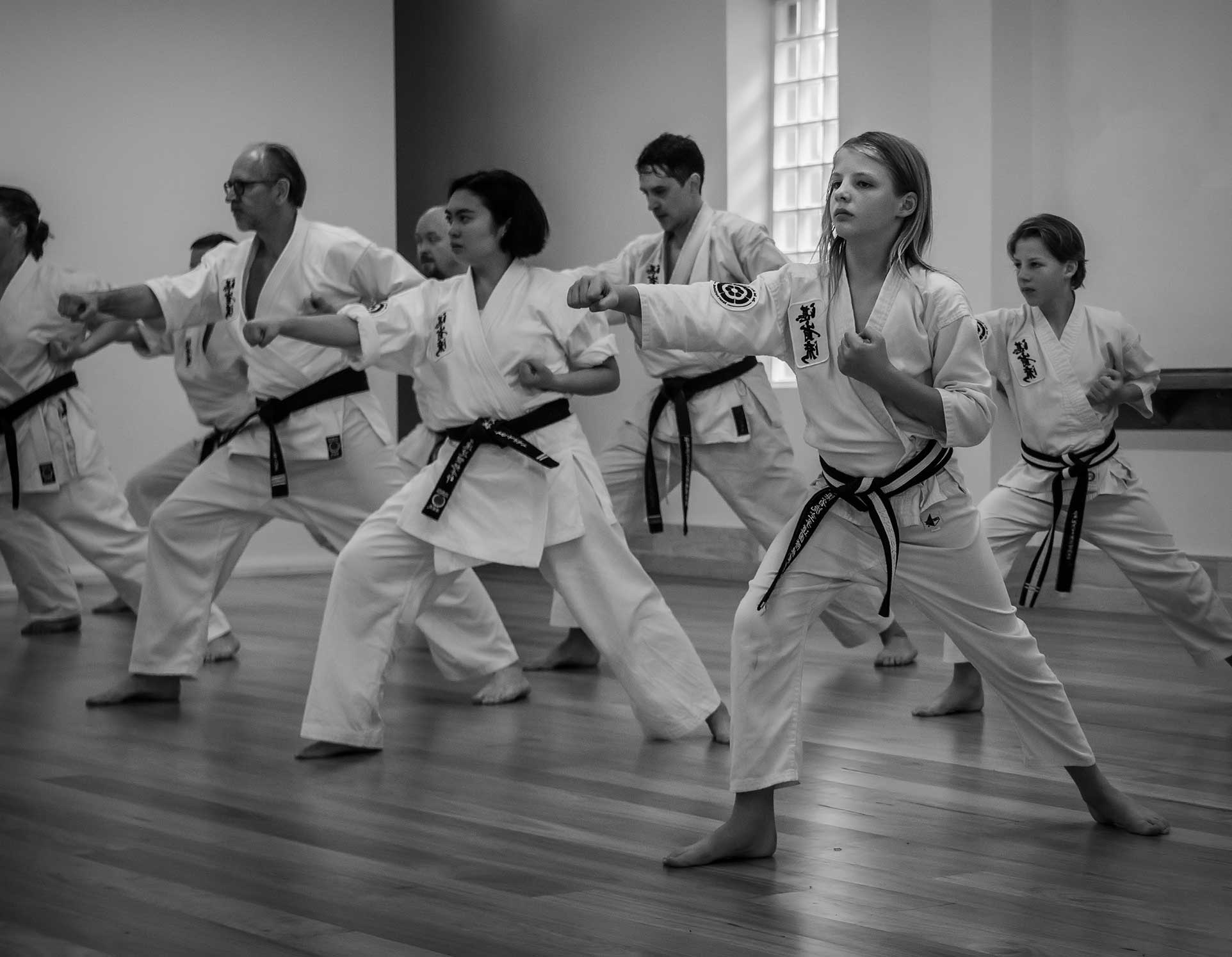 Benefits - Jin Sei Ryu Karate-Do